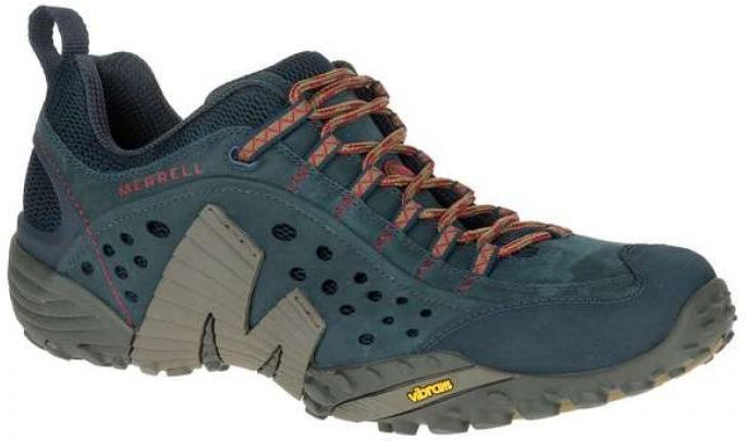 MERRELL BUTY Męskie INTERCEPT blue wing J559593 - Ceny i opinie - Ceneo.pl