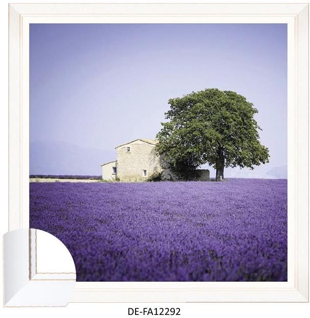 Obraz Beautiful Provence 70X70Cm - Opinie i atrakcyjne ceny na Ceneo.pl