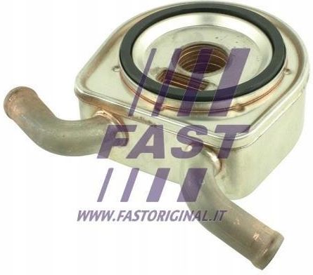 Fast Chłodnica Oleju Iveco Daily 00 500357275 (ft55401) - Opinie i ceny ...