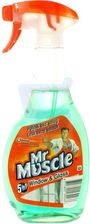 Sc Johnson Mr. Muscle Płyn Do Mycia Szyb W Sprayu Zielony 500 Ml - Ceny ...