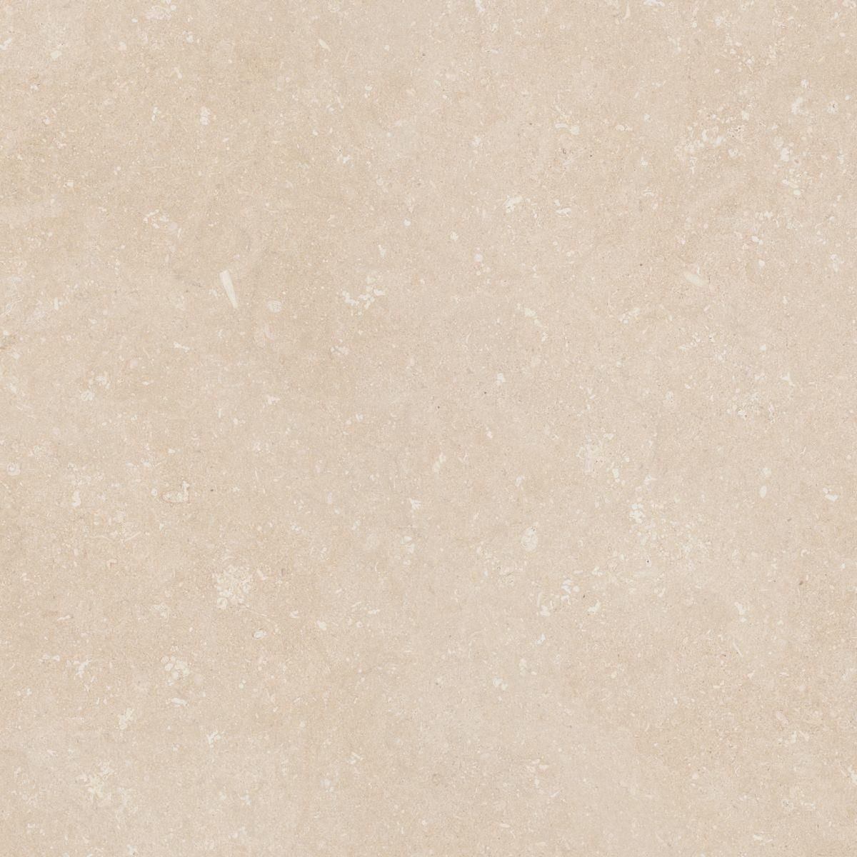 Płytki Golden Tile Rockshell Beige 60,7X60,7 - Opinie i ceny na Ceneo.pl