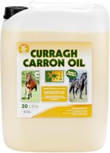 Trm Olej Lniany Wzbogacony Curragh Carron Oil Z Pompką. - Ceny i opinie ...