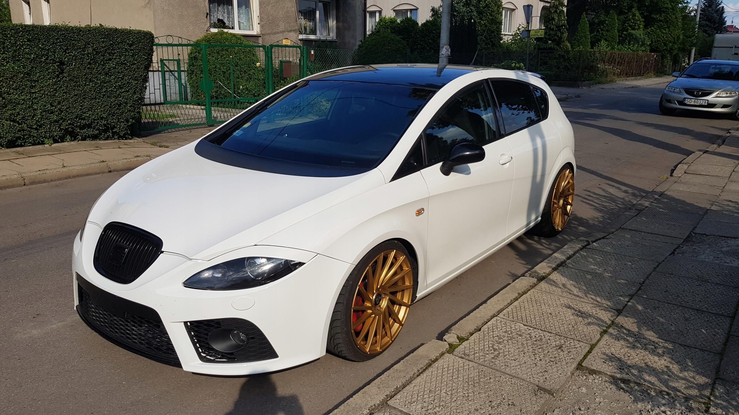 Seat Leon Cupra Stage 3 350km FROGRACING MEGA STAN - Opinie i ceny na ...