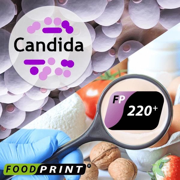 Food print 220 Zestaw Diagnostyczny 1Szt + Candida 1Szt - Opinie i ceny ...