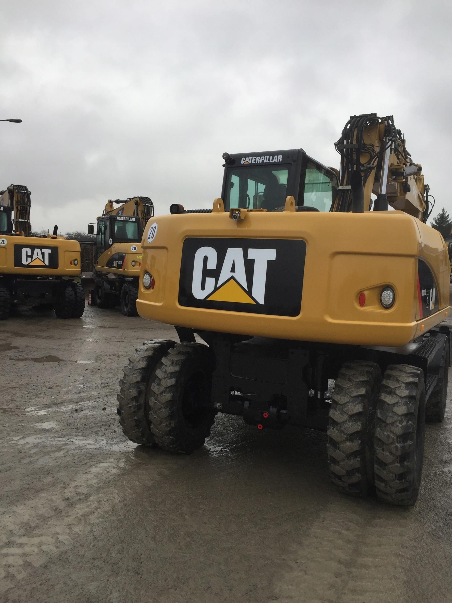 Cat 313d - Opinie i ceny na Ceneo.pl