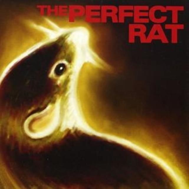 Płyta kompaktowa Endangered Languages (The Perfect Rat) (CD) - Ceny i ...