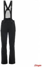 Spyder Spodnie 181712 Bormio Gore Tex M Blk - Ceny i opinie - Ceneo.pl