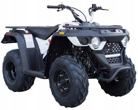 Linhai M150 NOWY - Opinie i ceny na Ceneo.pl