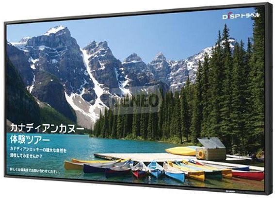 Monitor przemysłowy SHARP IDP PN-E421 - Ceny i opinie - Ceneo.pl