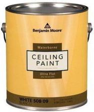 Farba Benjamin Moore 508 Ceiling Paint Sufitowa Farba 3,78L - Opinie i ...