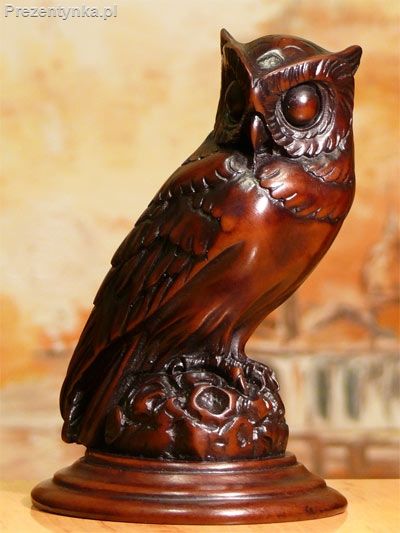 Sowa Symbol Mądrości - Opinie i atrakcyjne ceny na Ceneo.pl
