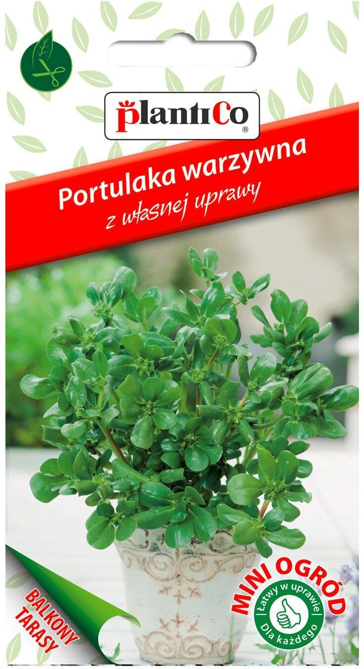 Plantico Portulaka Warzywna Mini Ogród - Ceny i opinie - Ceneo.pl