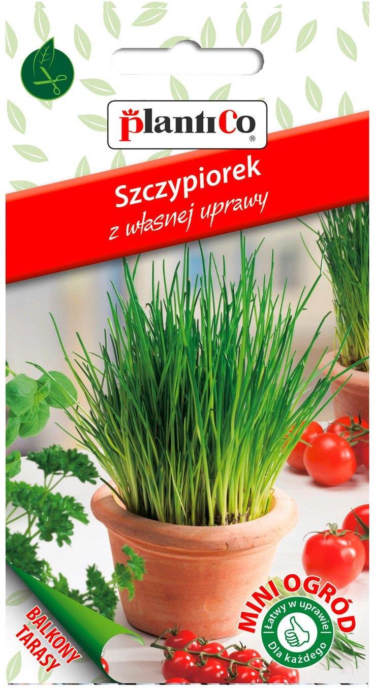 Plantico Szczypiorek Mini Ogród - Ceny i opinie - Ceneo.pl