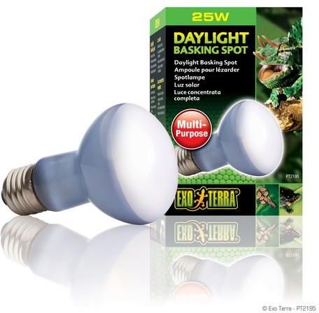 Exo Terra Żarówka Dzienna Daylight Basking Spot Lamp (Dawniej Sun-Glo ...