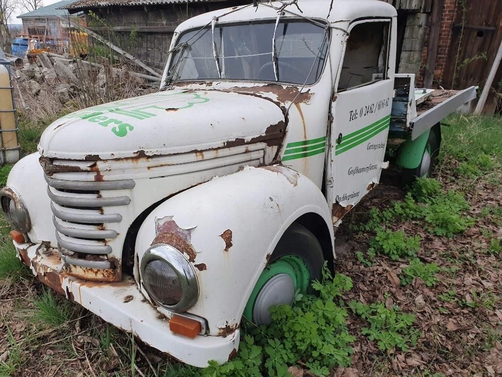 Barkas Framo v901 - Opinie i ceny na Ceneo.pl