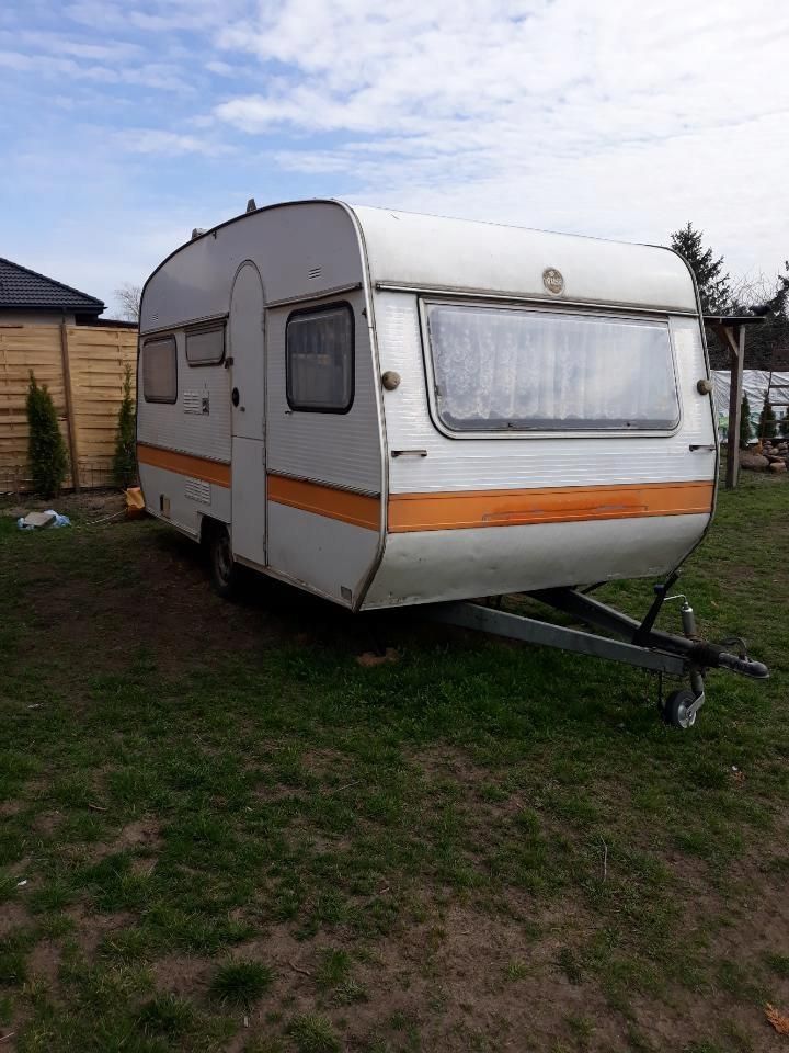 Przyczepa kempingowa Wilk Caravan - Opinie i ceny na Ceneo.pl