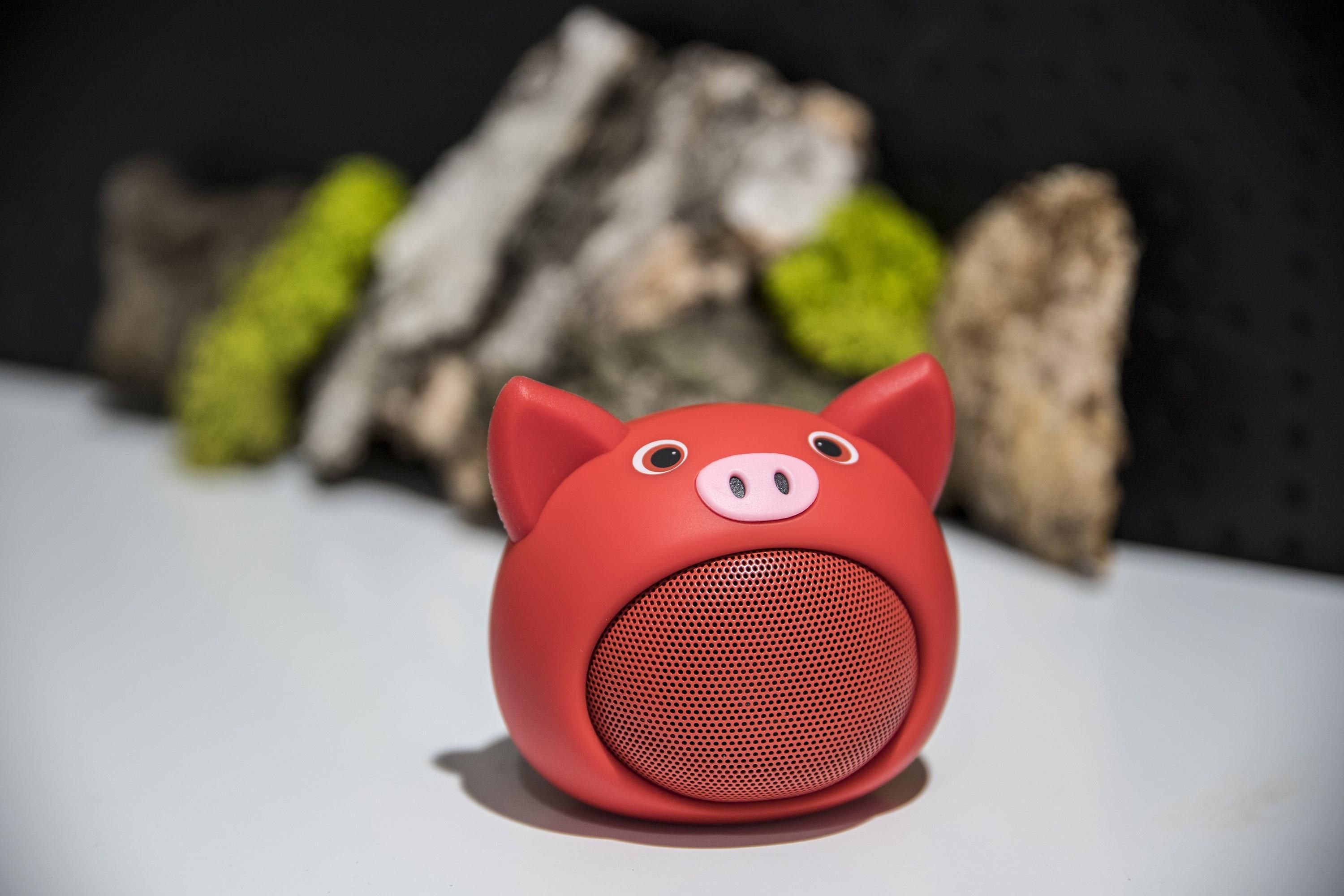 Forever Sweet Animal ABS-100 Pig Rose - Opinie i ceny na Ceneo.pl