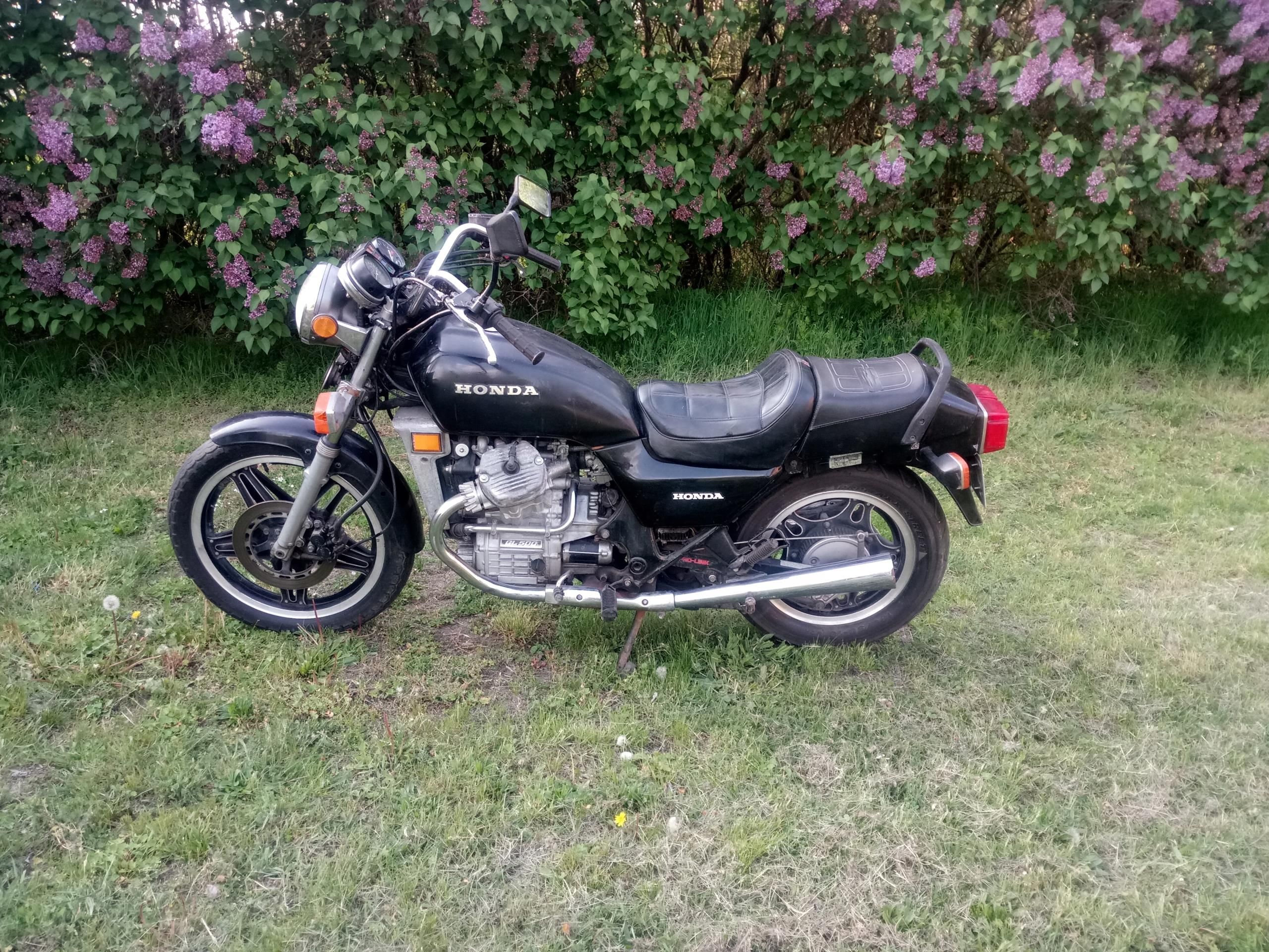 Honda GL 500 - Opinie i ceny na Ceneo.pl