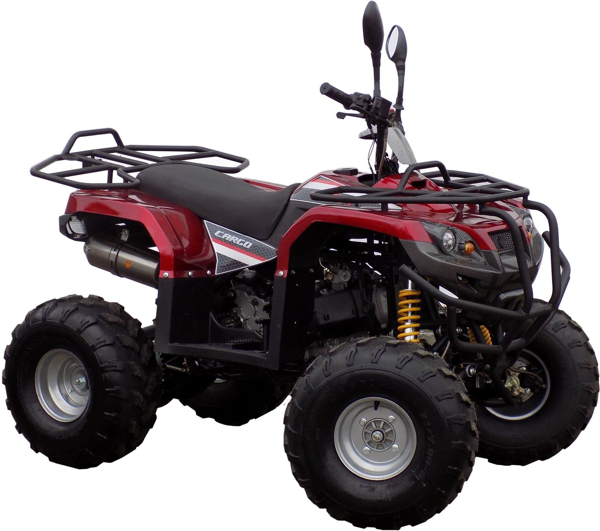 QUAD Boxer Diablo Fuxin 200 PROMOCJA-DOSTAWA GRATI - Opinie i ceny na ...