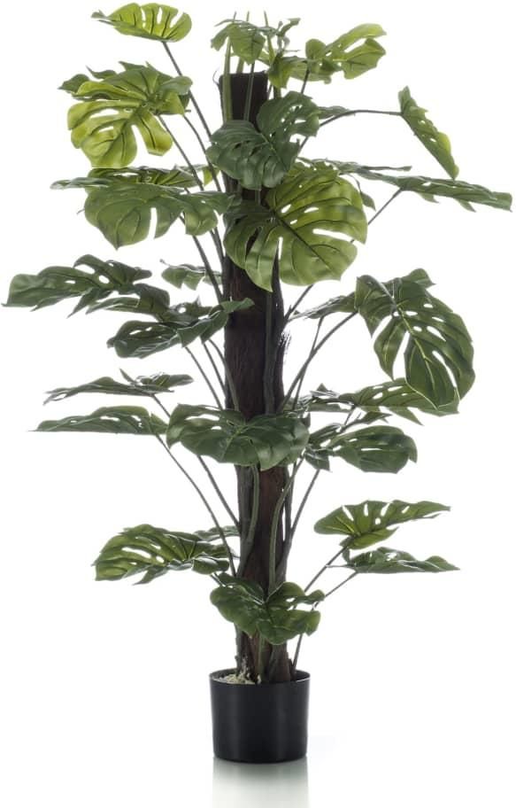 Emerald Monstera Na Słupku 120 Cm - Opinie i atrakcyjne ceny na Ceneo.pl