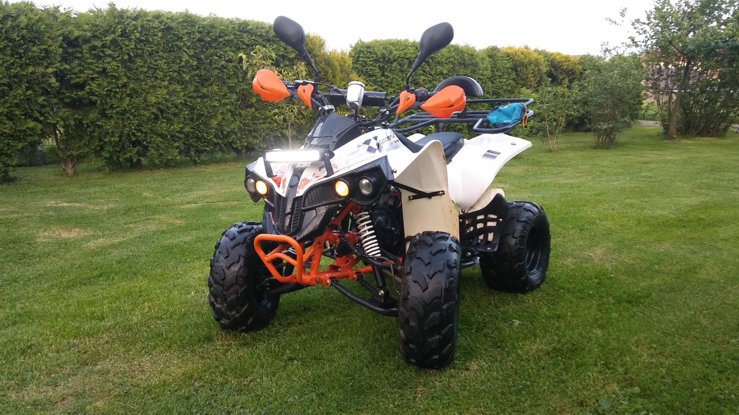 Quad,ATV Apollo Adventure 125 RR na Gwarancji - Opinie i ceny na Ceneo.pl