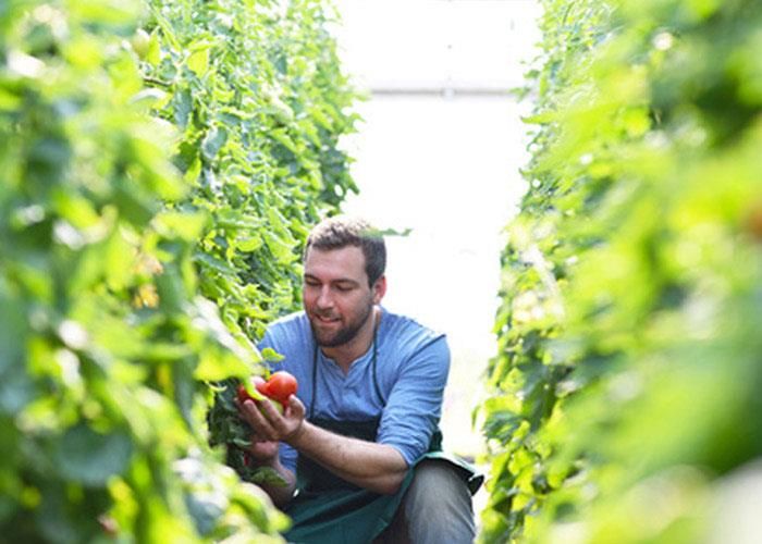 Super Rolnik Chwastox Extra 300Sl 5L Środek Chwastobójczy - Ceny i ...