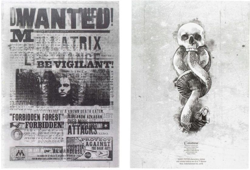 Prorok codzienny Zeszyt Harry Potter notatnik A5 - Ceny i opinie - Ceneo.pl