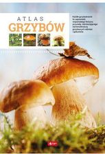Atlas grzybów - Ceny i opinie - Ceneo.pl