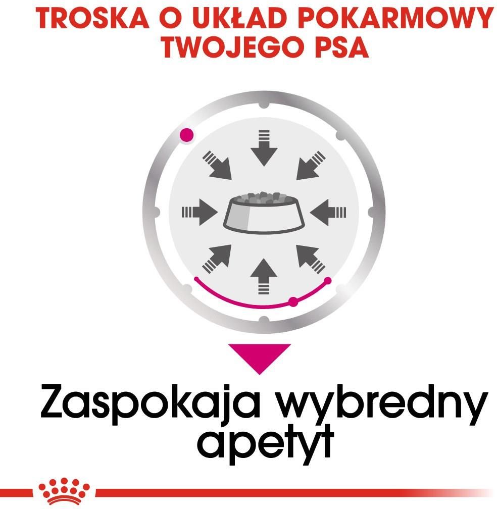 Karma Royal Canin Exigent Loaf 12X85G + podkładka pod miskę - Ceny i ...