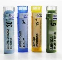 Lek homeopatyczny Boiron Bryonia Alba 9CH 4 g - Opinie i ceny na Ceneo.pl