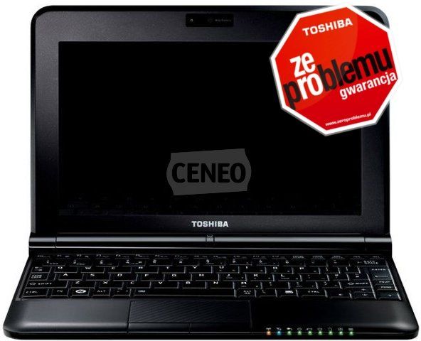 Laptop Toshiba NB250-108 Intel Atom N455 1GB 250GB 10,1'' W7S (PLL2PE ...
