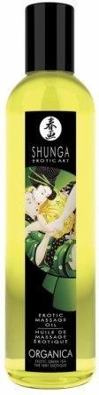 Shunga - Exotic Green Tea Organic Massage Oil 250 ml - Ceneo.pl