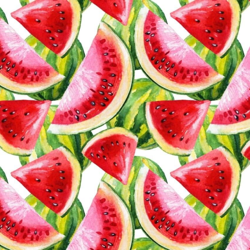 Softshell Wzór Arbuzy - Ceny i opinie - Ceneo.pl