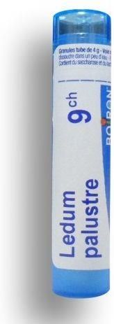 Lek homeopatyczny Boiron Ledum Palustre 9CH 4 g - Opinie i ceny na Ceneo.pl