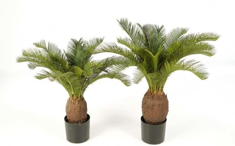 Hurtownia Roślin Sztucznych Cykas Palma Sagowiec 70cm - Ceny i opinie ...