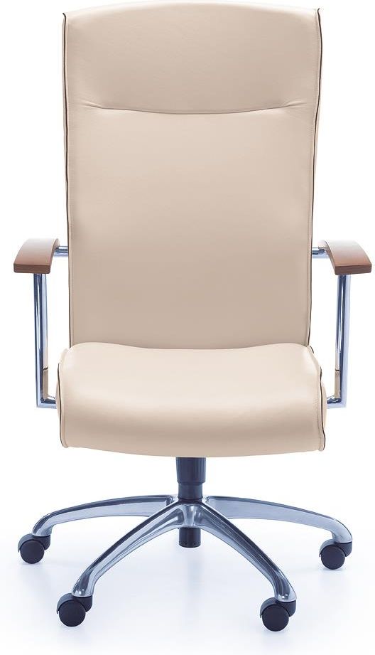 ProfiM Fotel Niko 11z - Ceny i opinie - Ceneo.pl