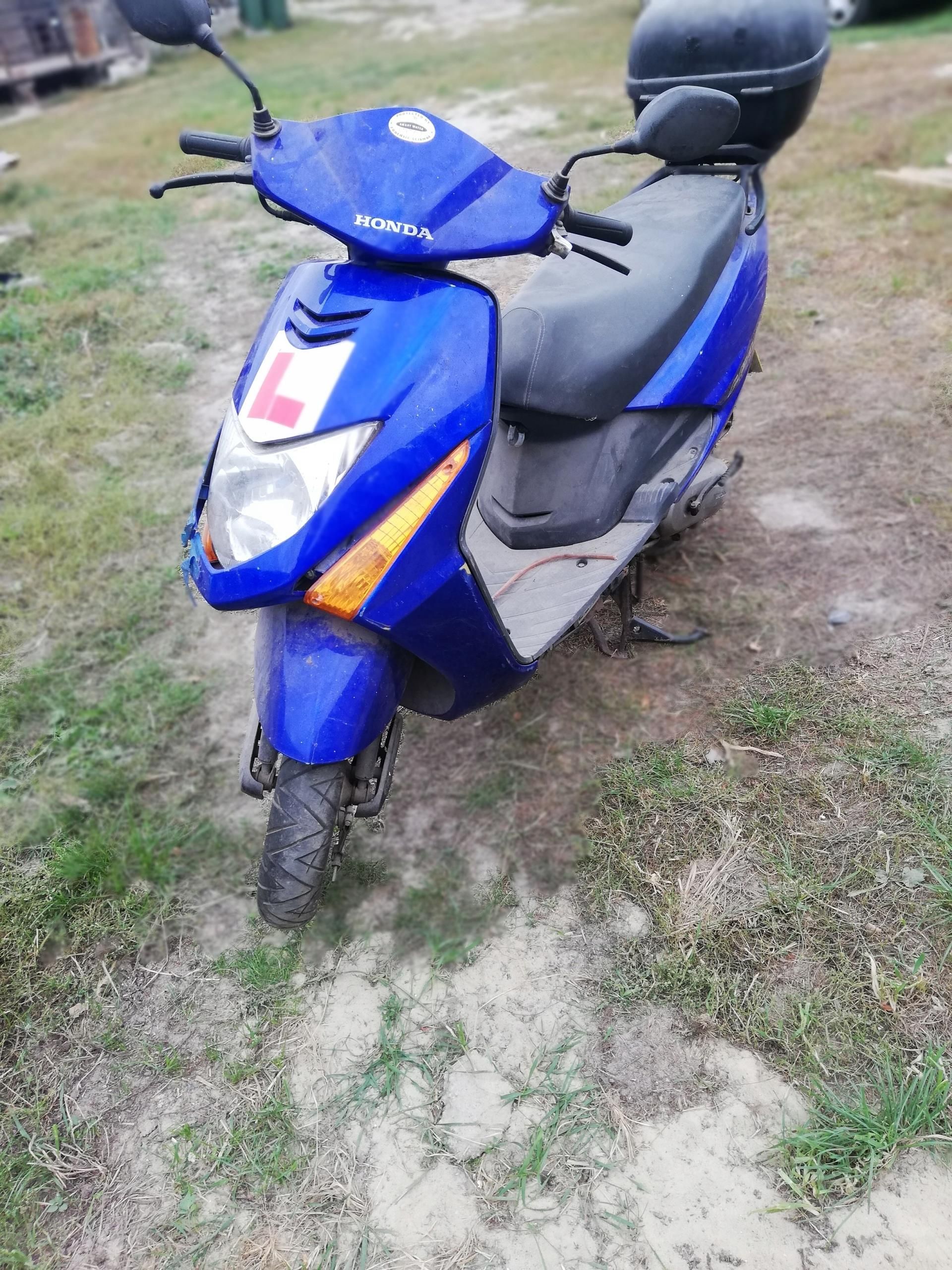 Honda Lead skuter 125 - Opinie i ceny na Ceneo.pl