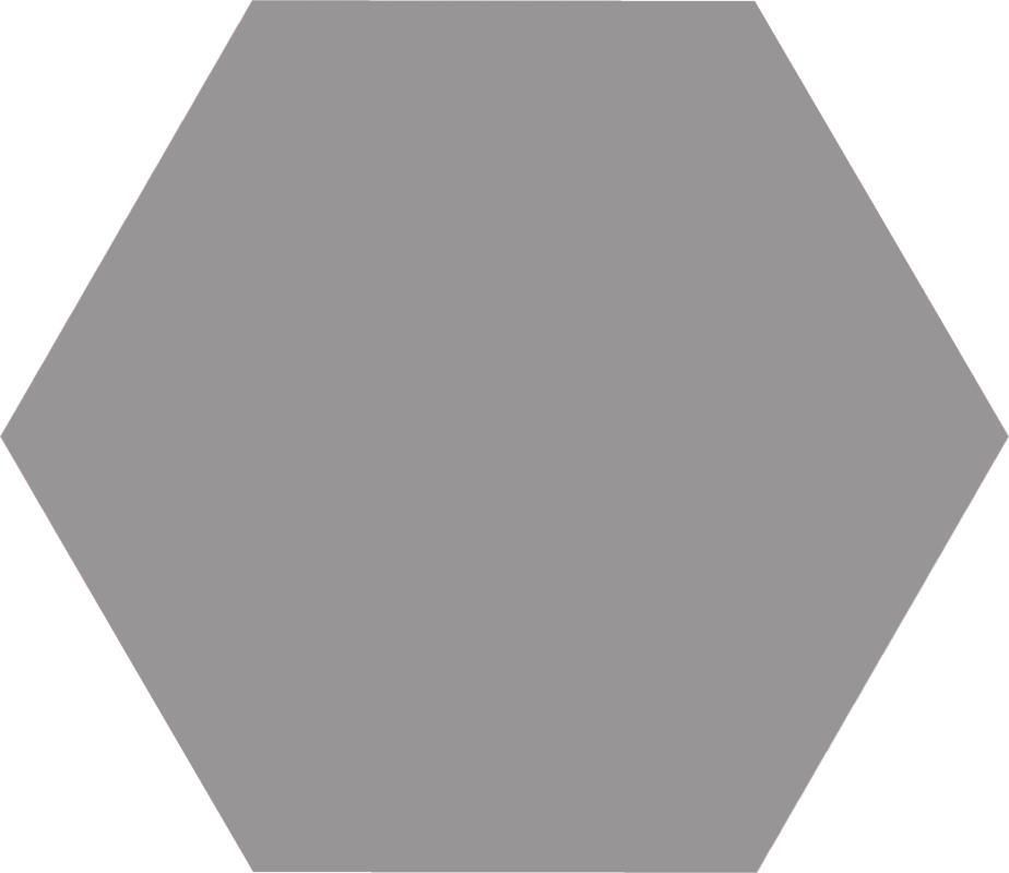 Płytki Codicer Basic Grey Hex 25 22X25 - Opinie i ceny na Ceneo.pl