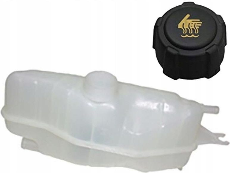 ZBIORNICZEK WYRÓWNAWCZY RENAULT MODUS CLIO III 7701477290 - Opinie i ...