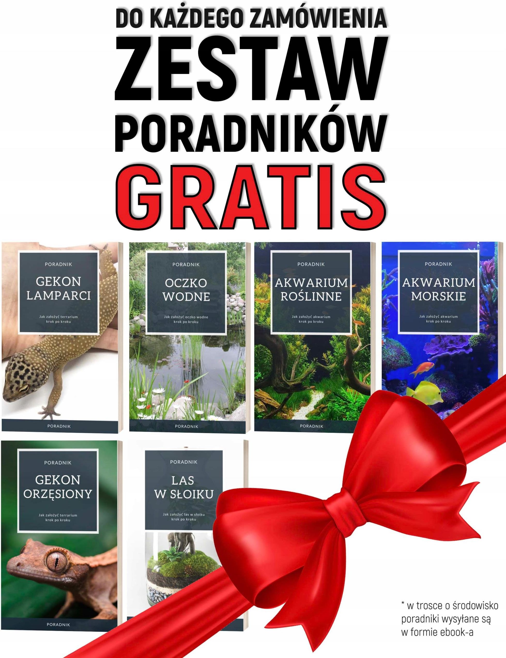 Terrarium Dla Myszy Chomika Szczura Ssaków Jeża - Ceny i opinie - Ceneo.pl