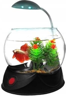 Hailea Akwarium Kula Z Led 2,5l Czarna (V01/P) - Ceny i opinie - Ceneo.pl