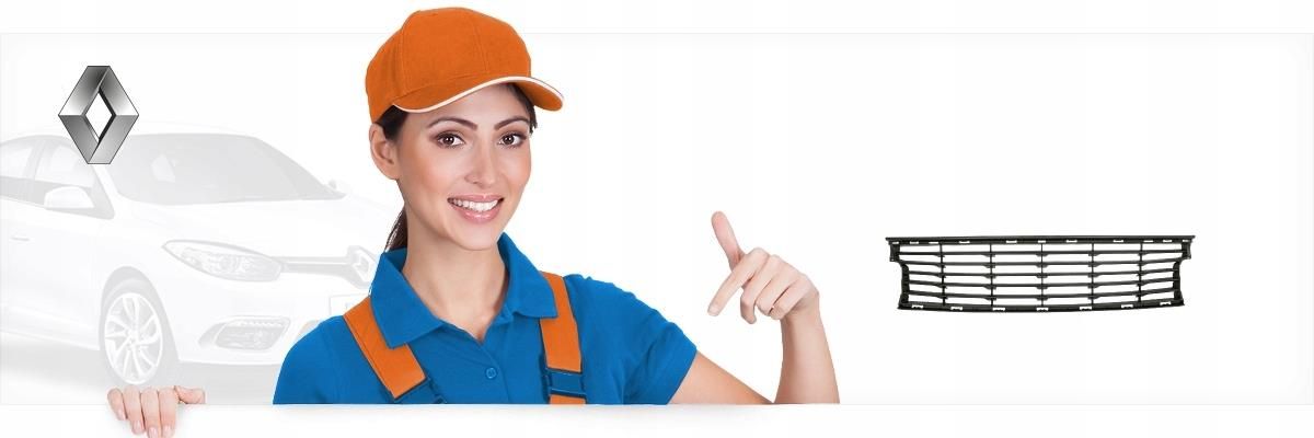 RENAULT SCENIC 13- ATRAPA W ZDERZAKU ŚRODKOWA 622543518R - Opinie i ...