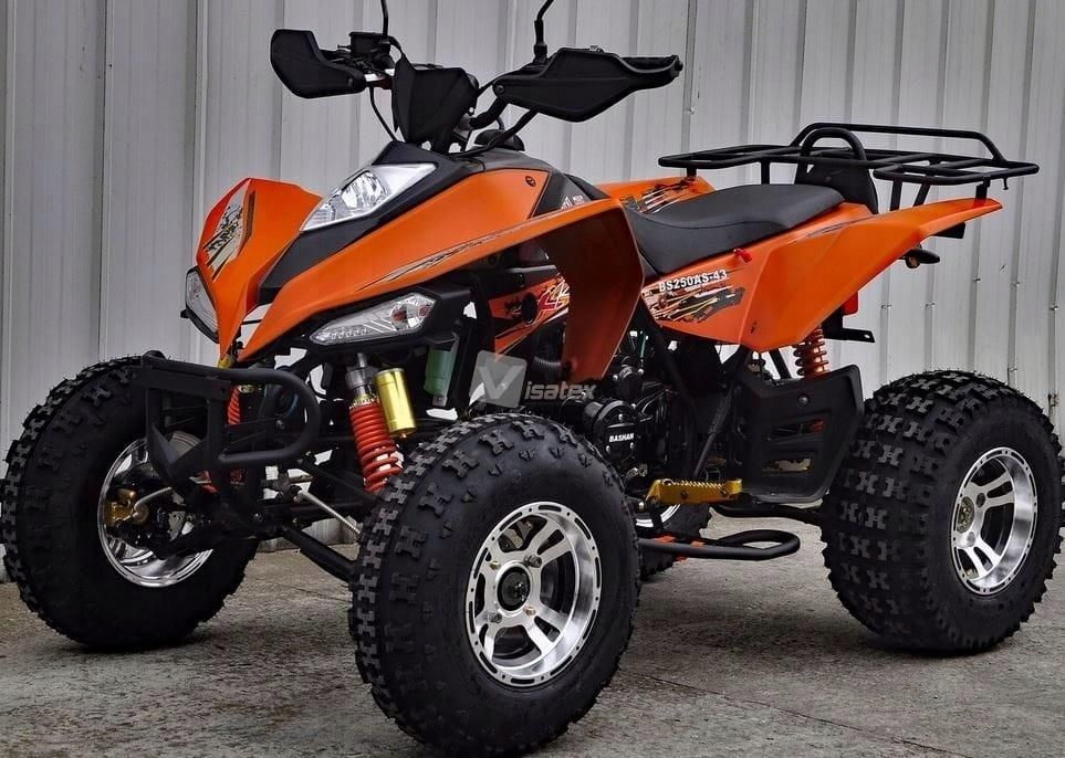 QUAD ATV BASHAN 250cc sportowy Speed Homologacja - Opinie i ceny na Ceneo.pl