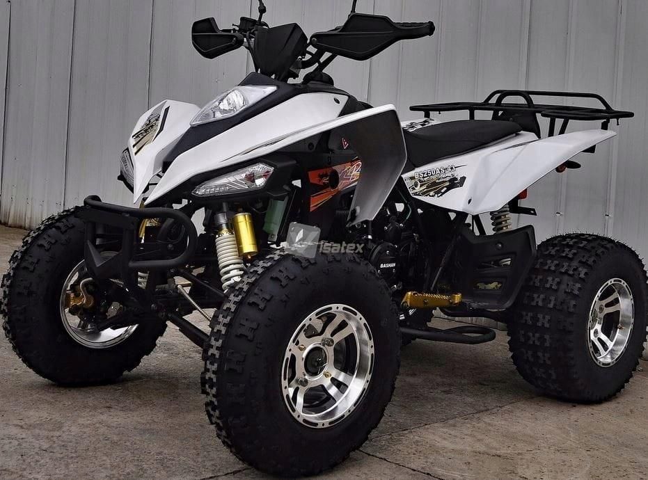 QUAD ATV BASHAN 250cc sportowy Speed Homologacja - Opinie i ceny na Ceneo.pl