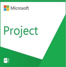 Program biurowy Microsoft Open Project Single No Level Single (076 ...