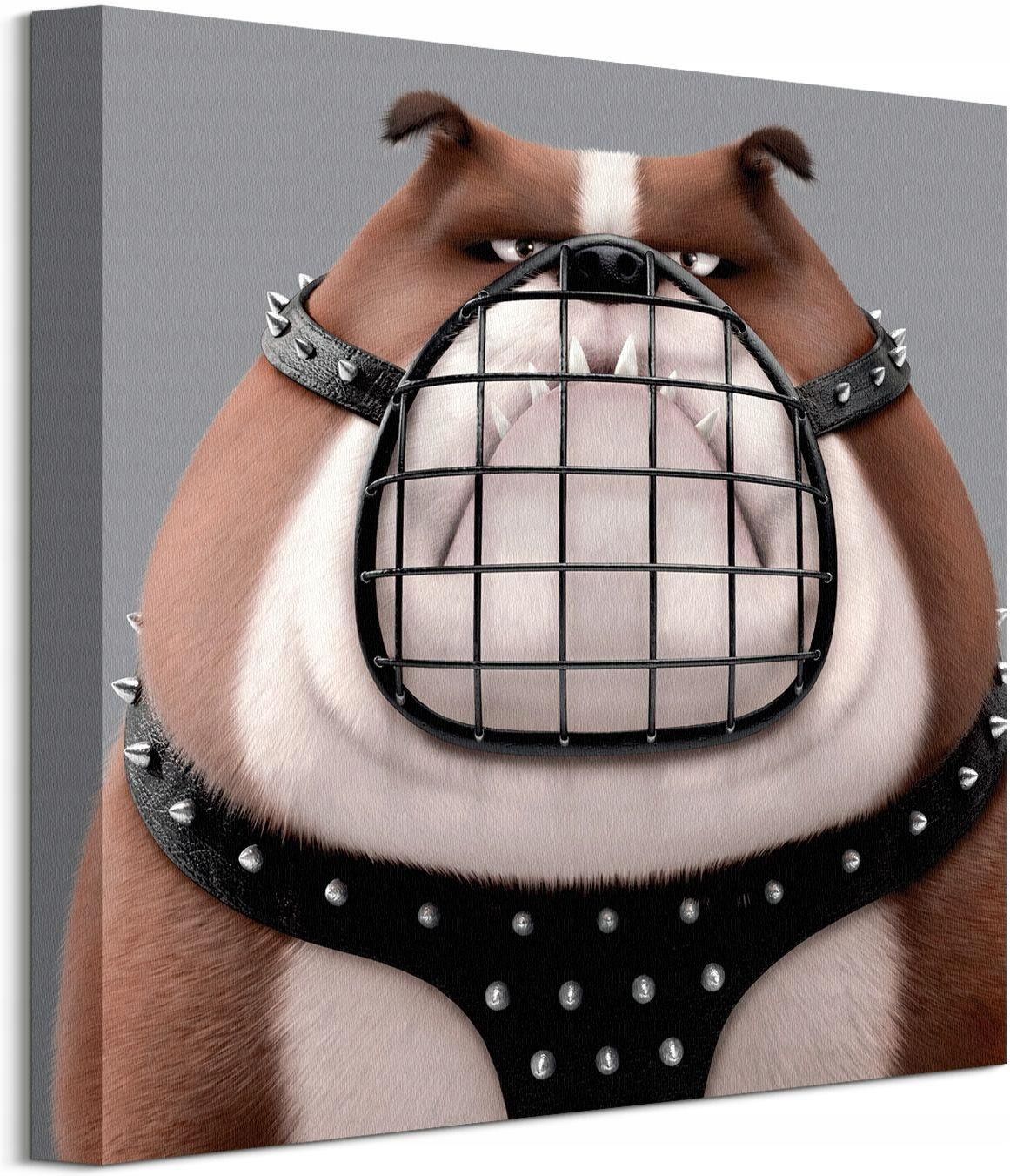 The Secret Life Of Pets Pies Ripper Obraz 40X40Cm - Opinie i atrakcyjne ...