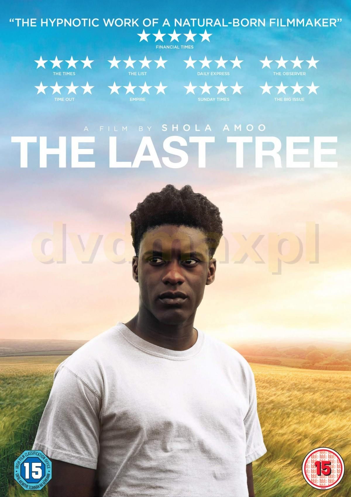 Film DVD The Last Tree [DVD] - Ceny i opinie - Ceneo.pl