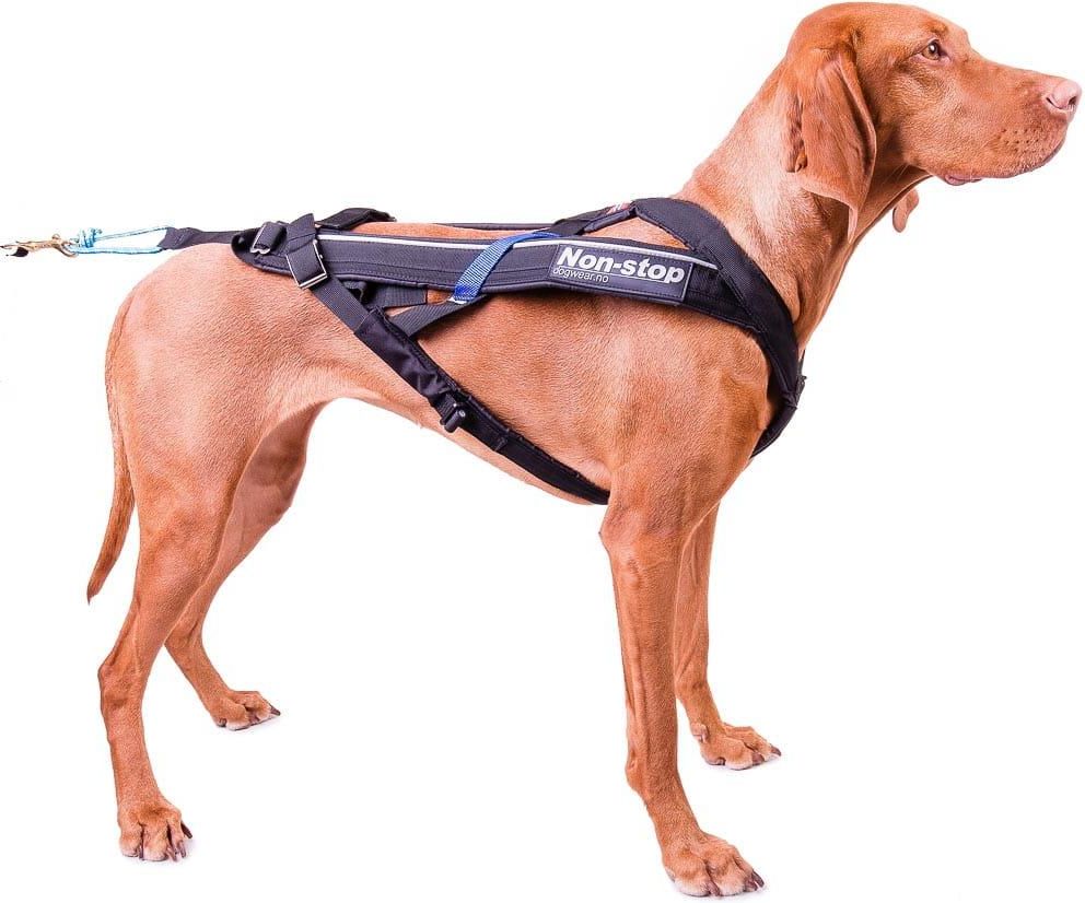 Non-Stop Dogwear Szelki Zaprzęgowe Sled Do Ciągnięcia Freemotion 6 ...