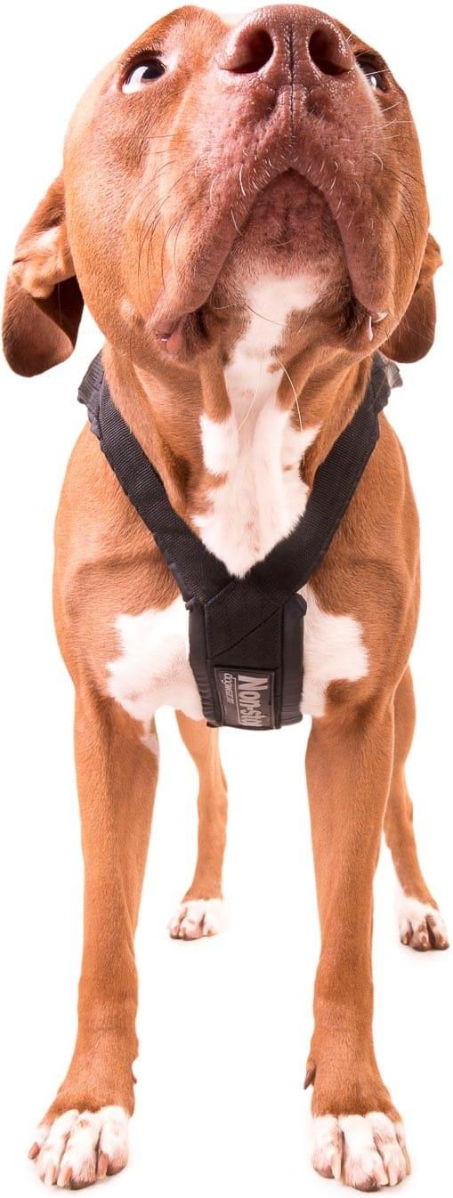 Non-Stop Dogwear Szelki Zaprzęgowe Sled Do Ciągnięcia Freemotion 10 ...