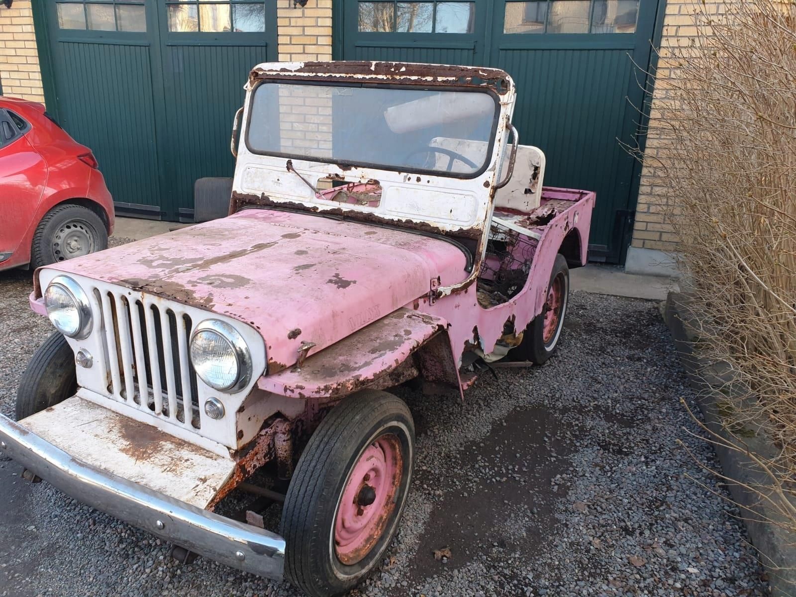 Jeep Willys Pink 2WD - Opinie i ceny na Ceneo.pl